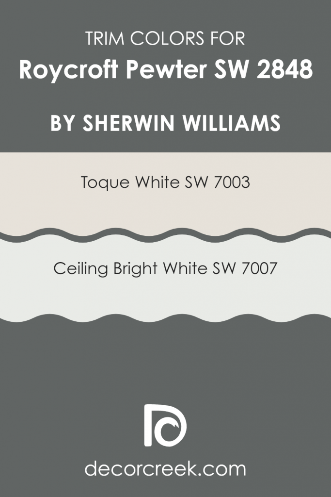 Roycroft Pewter SW 2848 Paint Color by Sherwin Williams - DecorCreek
