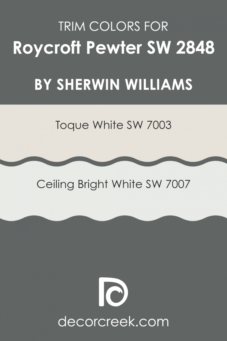 Roycroft Pewter SW 2848 Paint Color by Sherwin Williams - DecorCreek