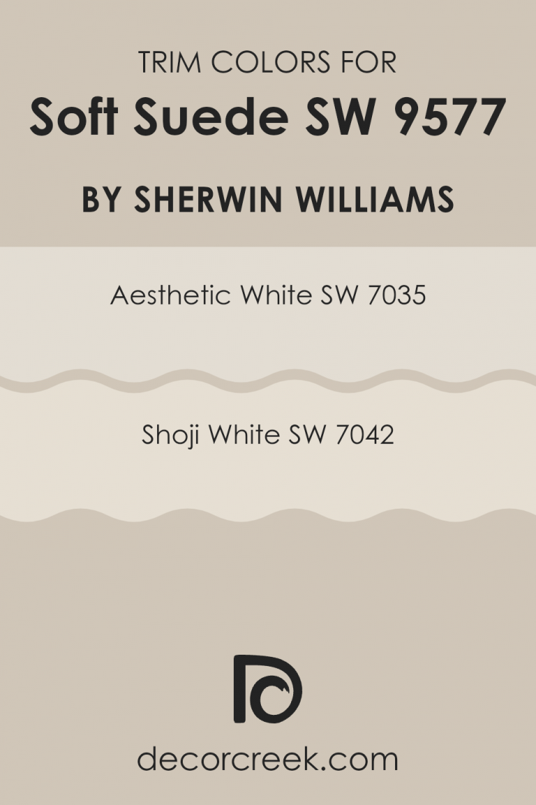 Soft Suede SW 9577 Paint Color by Sherwin Williams - DecorCreek
