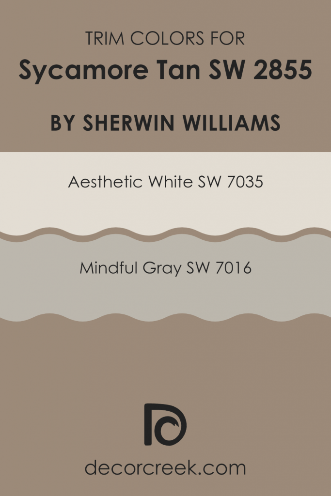 Sycamore Tan SW 2855 Paint Color by Sherwin Williams - DecorCreek