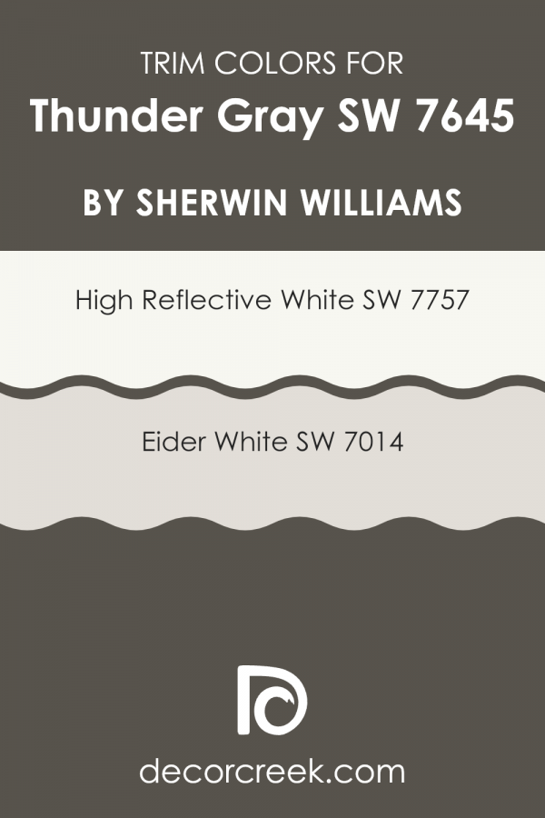 Thunder Gray SW 7645 Paint Color by Sherwin Williams - DecorCreek