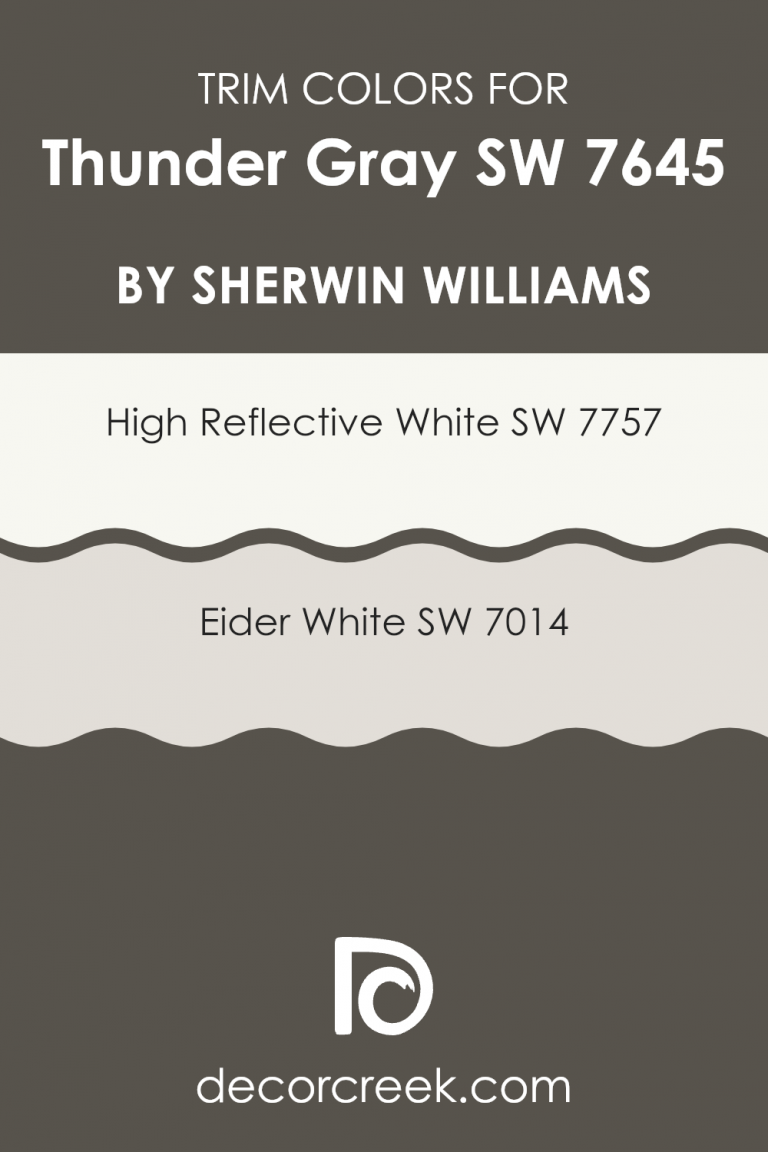 Thunder Gray SW 7645 Paint Color by Sherwin Williams - DecorCreek