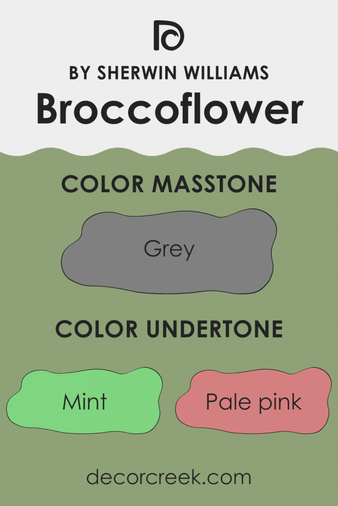 Broccoflower SW 9039 Paint Color by Sherwin Williams - DecorCreek