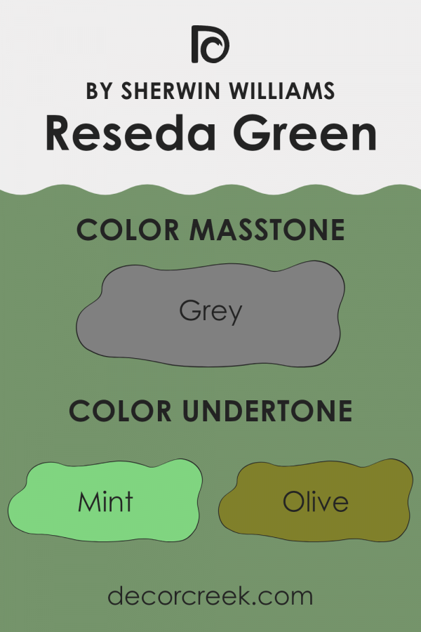 Reseda Green SW 9040 Paint Color by Sherwin Williams - DecorCreek