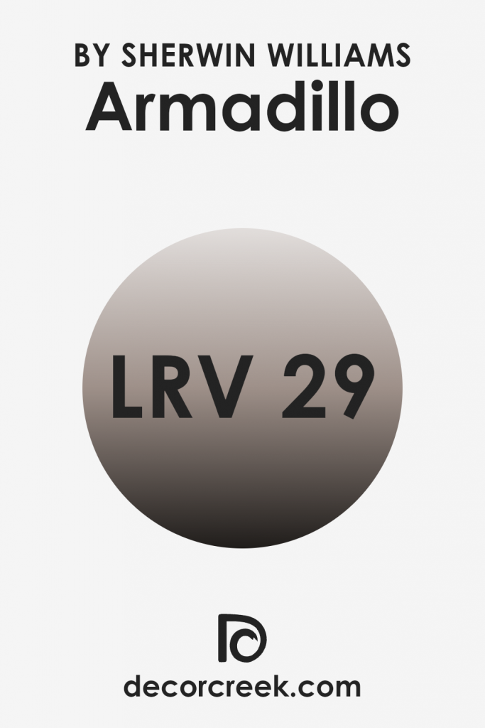 Armadillo SW 9160 Paint Color by Sherwin Williams - DecorCreek