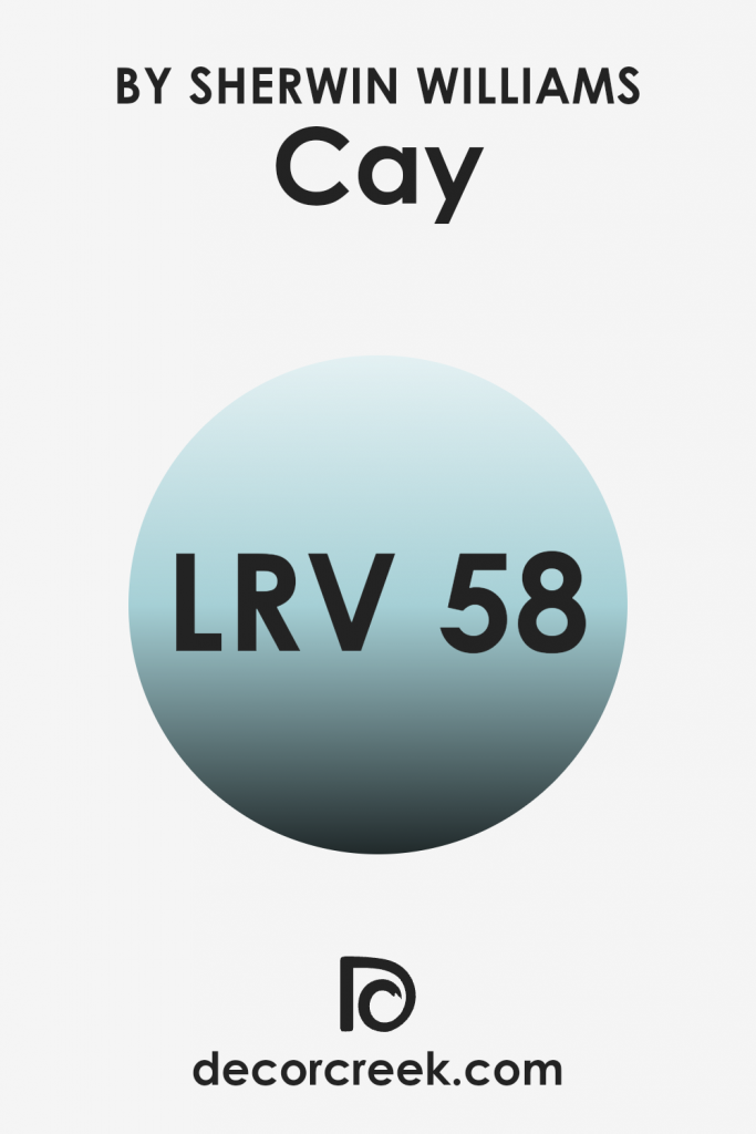 Cay SW 6772 Paint Color by Sherwin Williams - DecorCreek