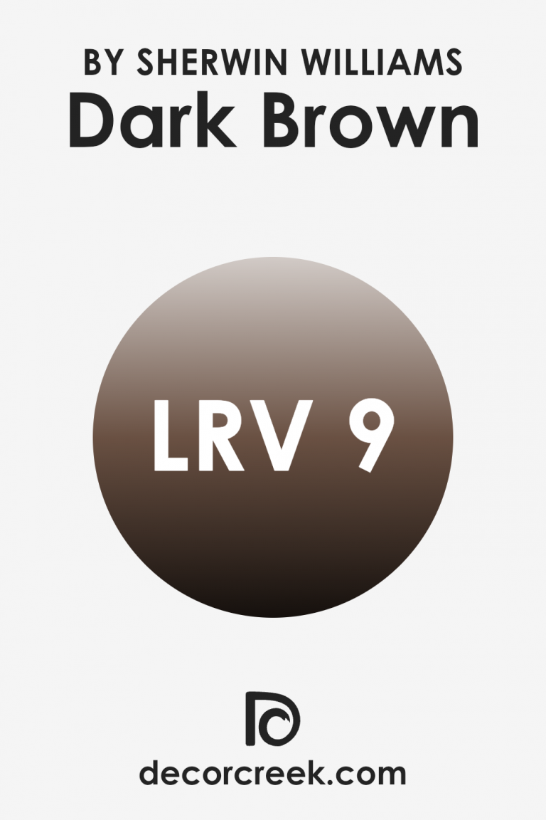 Dark Brown SW 7520 Paint Color by Sherwin Williams - DecorCreek