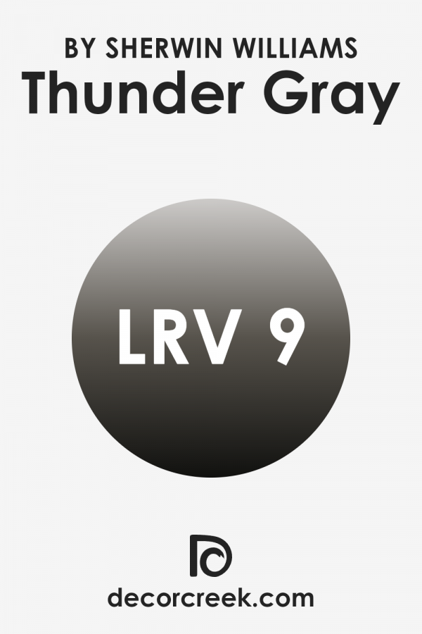 Thunder Gray SW 7645 Paint Color by Sherwin Williams - DecorCreek