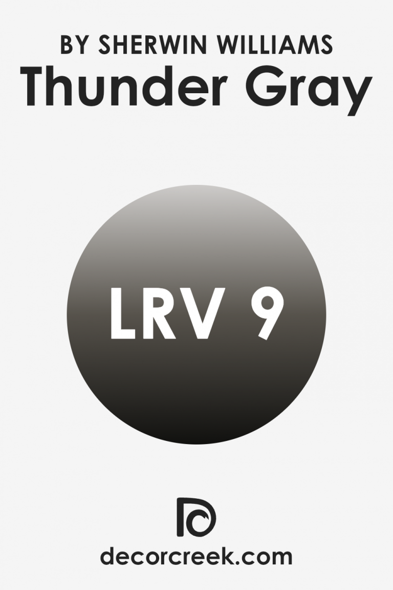 Thunder Gray SW 7645 Paint Color by Sherwin Williams - DecorCreek