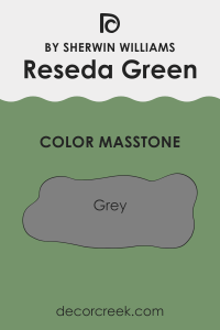 Reseda Green SW 9040 Paint Color by Sherwin Williams - DecorCreek