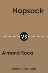 Almond Roca SW 9105 Paint Color by Sherwin Williams - DecorCreek