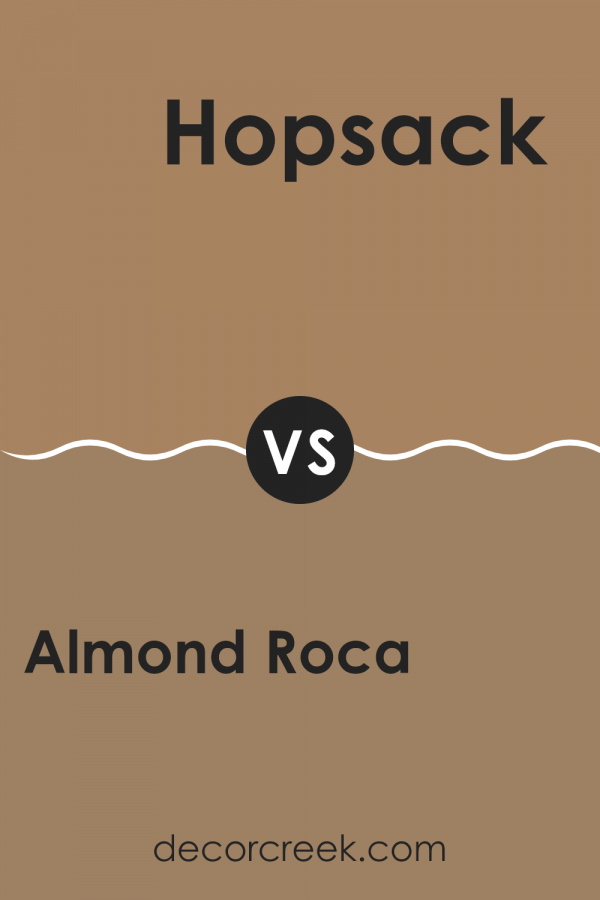 Almond Roca SW 9105 Paint Color by Sherwin Williams - DecorCreek