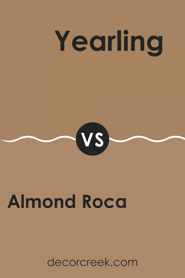 Almond Roca SW 9105 Paint Color by Sherwin Williams - DecorCreek