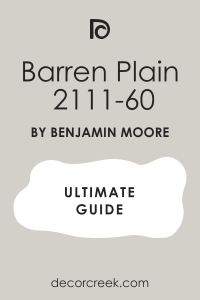 Barren Plain 2111-60 Paint Color by Benjamin Moore - DecorCreek