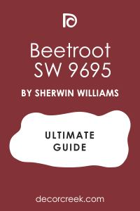 Beetroot SW 9695 Paint Color by Sherwin Williams - DecorCreek