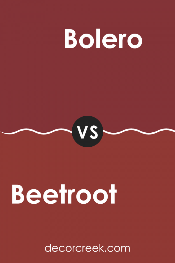 Beetroot SW 9695 Paint Color by Sherwin Williams - DecorCreek