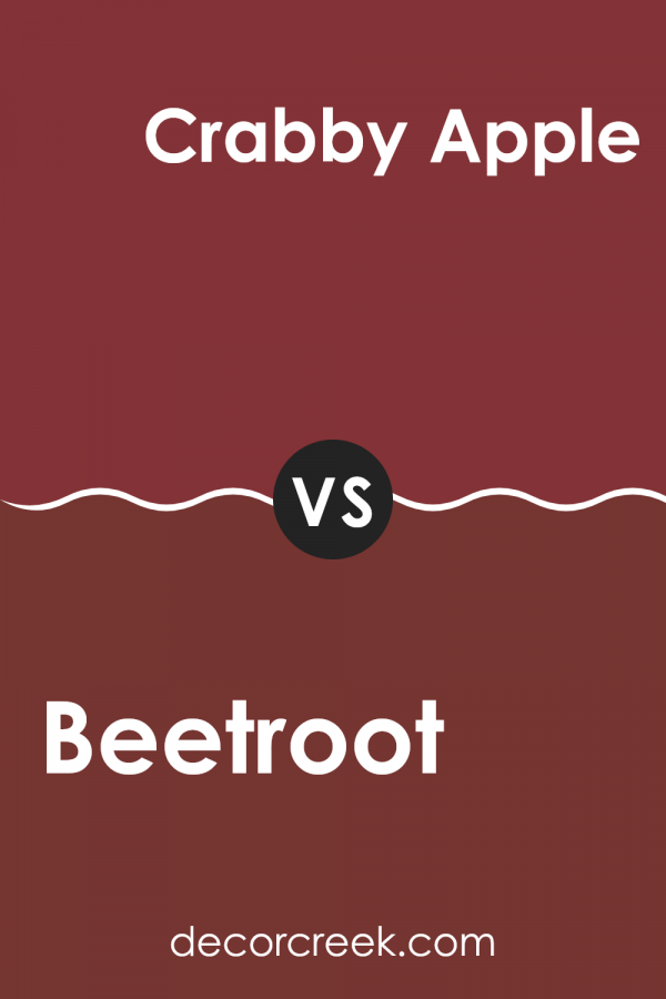 Beetroot SW 9695 Paint Color by Sherwin Williams - DecorCreek