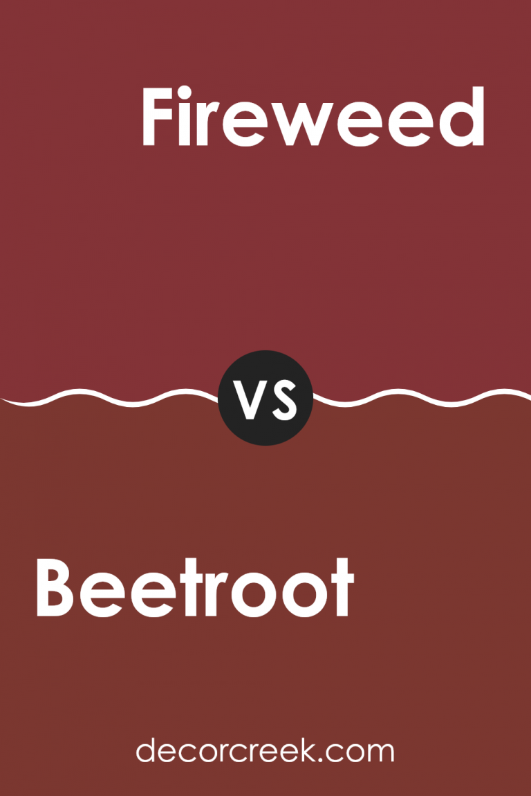 Beetroot SW 9695 Paint Color by Sherwin Williams - DecorCreek