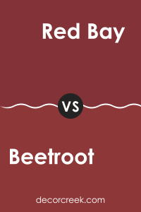 Beetroot SW 9695 Paint Color by Sherwin Williams - DecorCreek