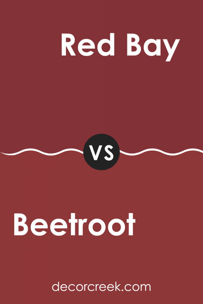 Beetroot SW 9695 Paint Color by Sherwin Williams - DecorCreek