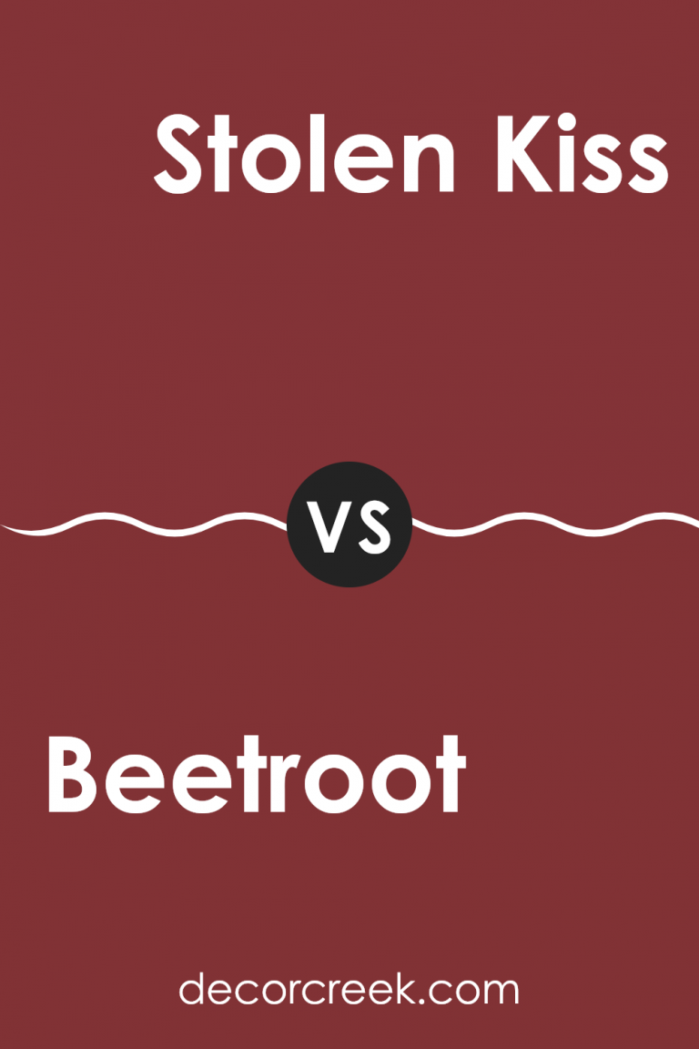 Beetroot SW 9695 Paint Color by Sherwin Williams - DecorCreek