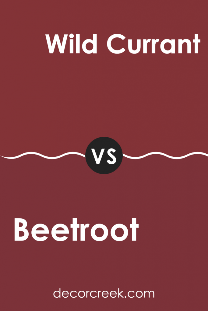 Beetroot SW 9695 Paint Color by Sherwin Williams - DecorCreek