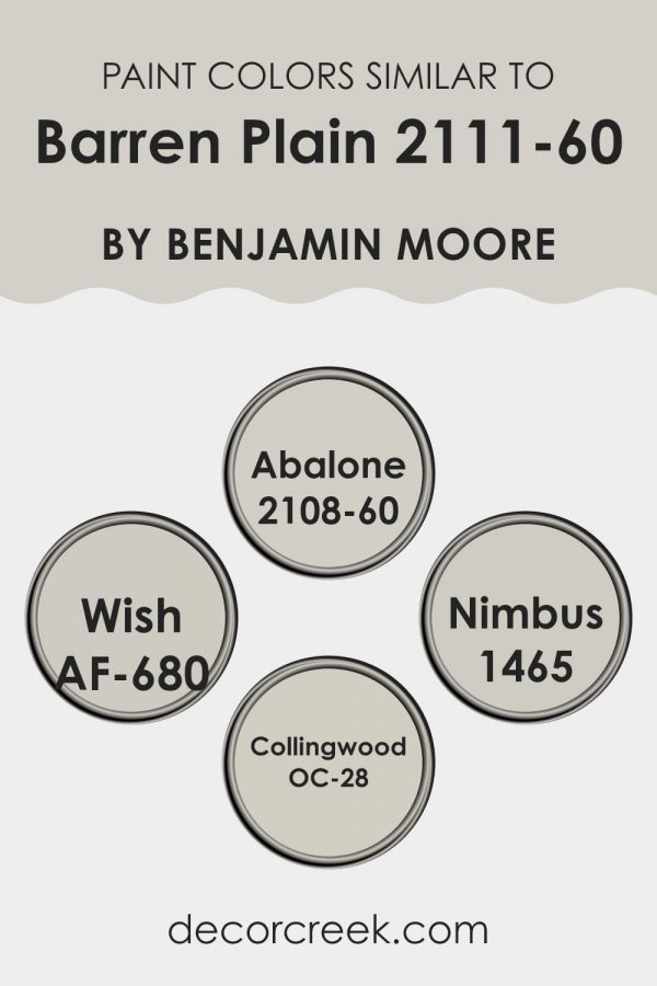 Barren Plain 2111-60 Paint Color by Benjamin Moore - DecorCreek