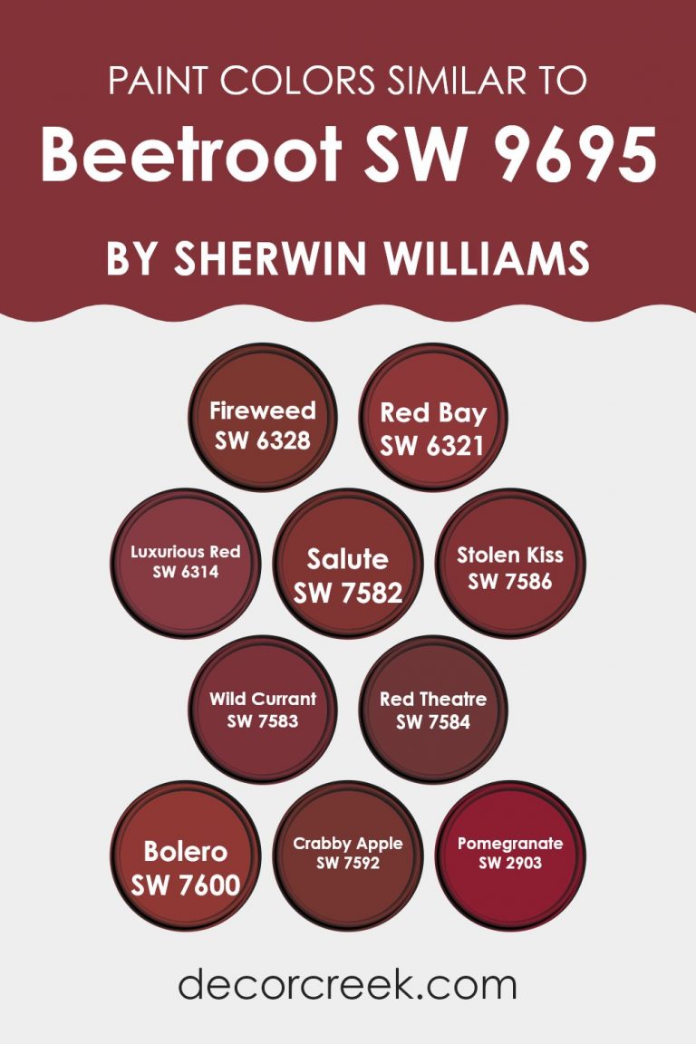 Beetroot SW 9695 Paint Color by Sherwin Williams - DecorCreek