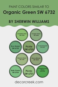 Organic Green SW 6732 Paint Color by Sherwin Williams - DecorCreek