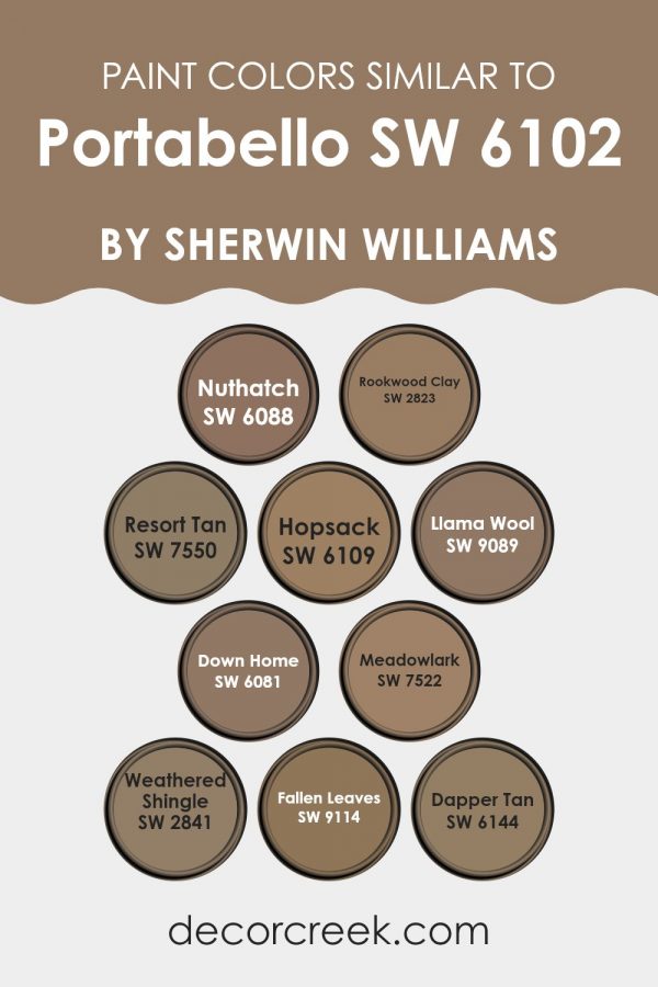 Portabello SW 6102 Paint Color by Sherwin Williams - DecorCreek