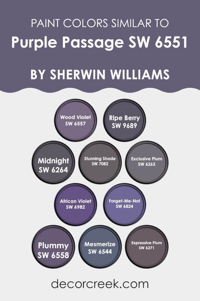 Purple Passage SW 6551 Paint Color by Sherwin Williams - DecorCreek
