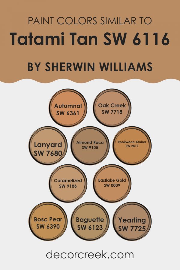Tatami Tan SW 6116 Paint Color by Sherwin Williams - DecorCreek