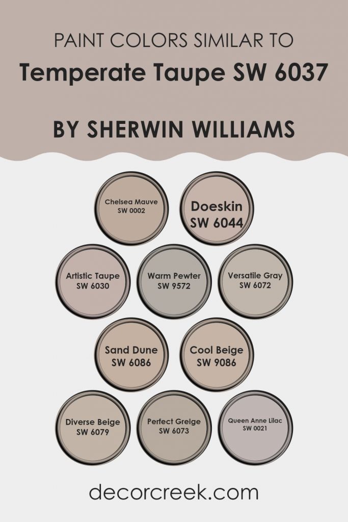 Temperate Taupe SW 6037 Paint Color by Sherwin Williams - DecorCreek