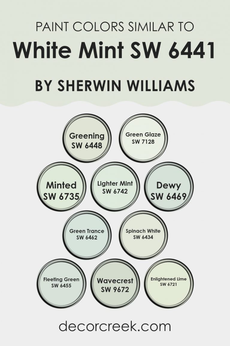 White Mint SW 6441 Paint Color by Sherwin Williams - DecorCreek