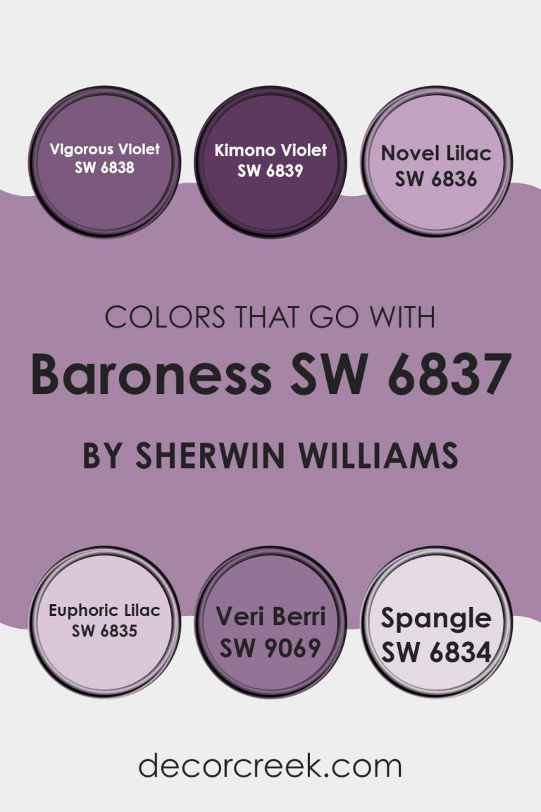Baroness SW 6837 Paint Color by Sherwin Williams - DecorCreek