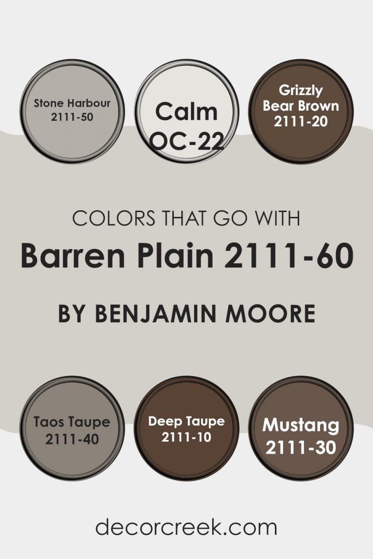Barren Plain 2111-60 Paint Color by Benjamin Moore - DecorCreek