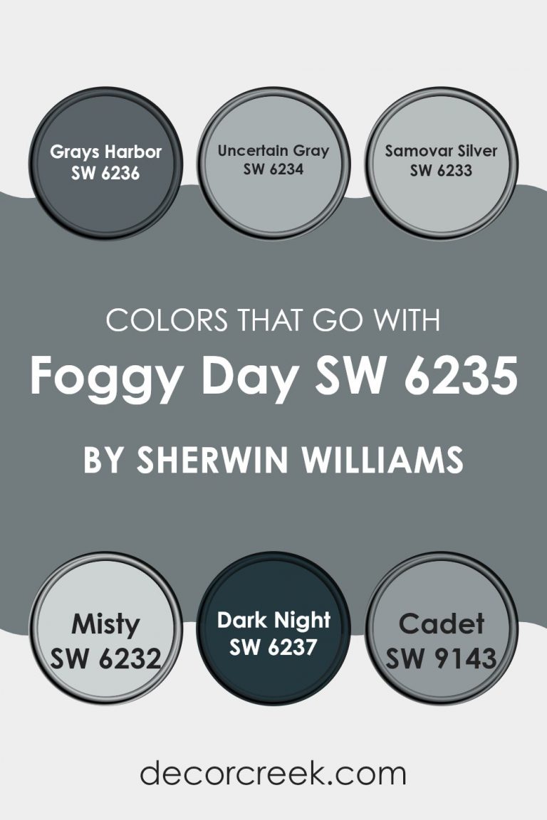 Foggy Day SW 6235 Paint Color by Sherwin Williams - DecorCreek