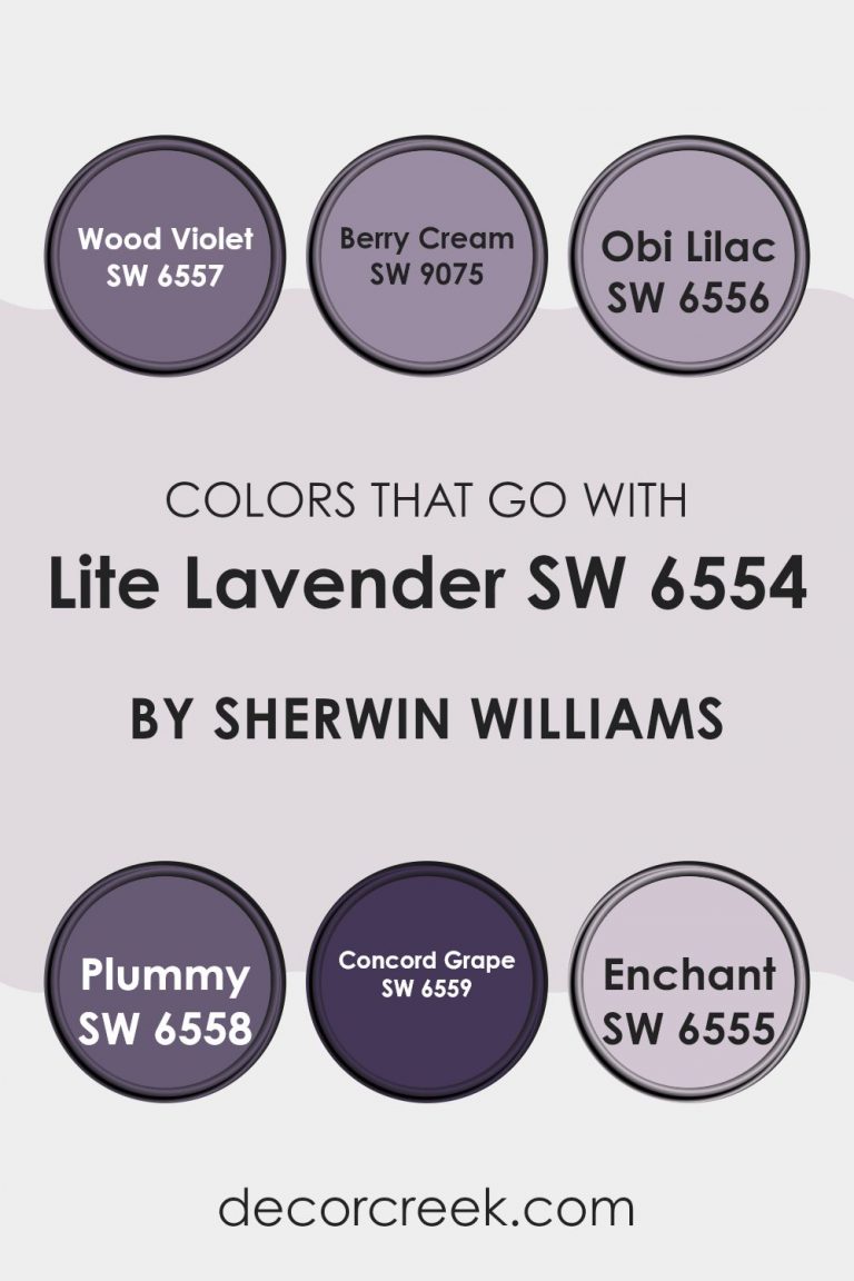 Lite Lavender SW 6554 Paint Color by Sherwin Williams - DecorCreek