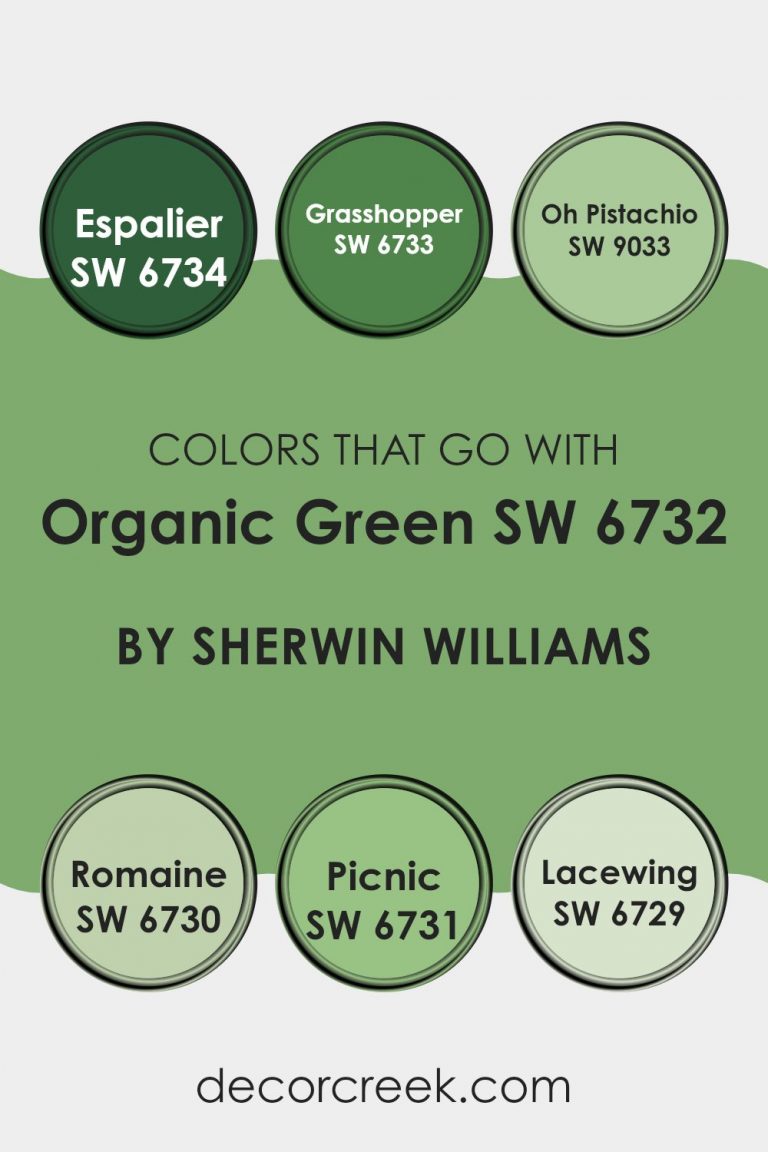 Organic Green SW 6732 Paint Color by Sherwin Williams - DecorCreek