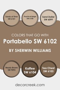 Portabello SW 6102 Paint Color by Sherwin Williams - DecorCreek
