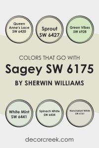 Sagey SW 6175 Paint Color by Sherwin Williams - DecorCreek