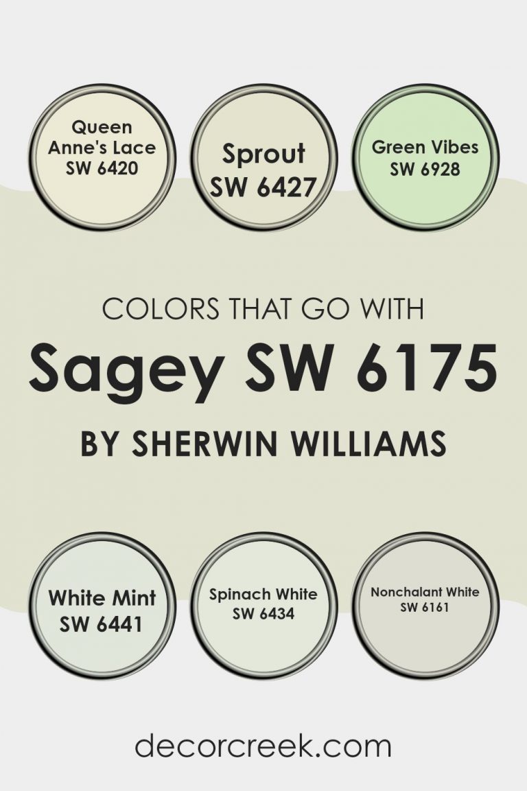 Sagey SW 6175 Paint Color by Sherwin Williams - DecorCreek