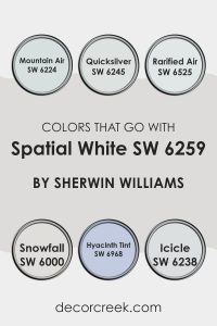 Spatial White SW 6259 Paint Color by Sherwin Williams - DecorCreek