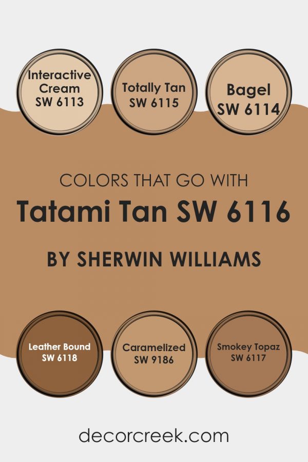 Tatami Tan SW 6116 Paint Color by Sherwin Williams - DecorCreek