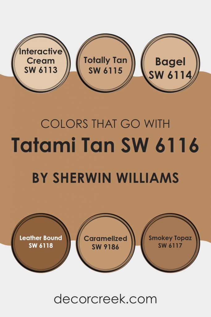 Tatami Tan SW 6116 Paint Color by Sherwin Williams - DecorCreek