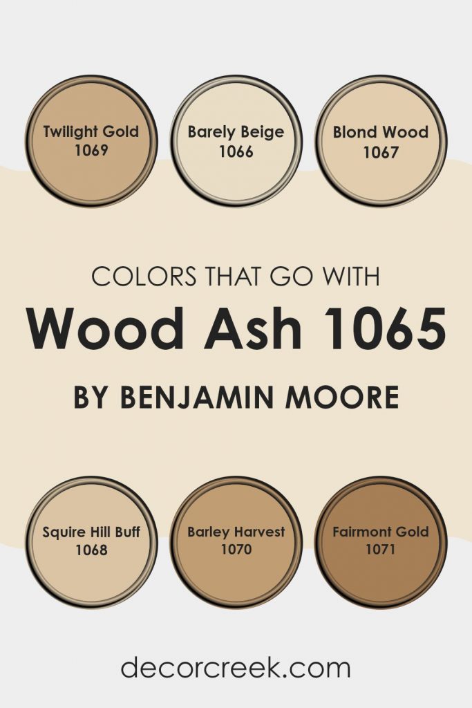 Wood Ash 1065 Paint Color by Benjamin Moore - DecorCreek