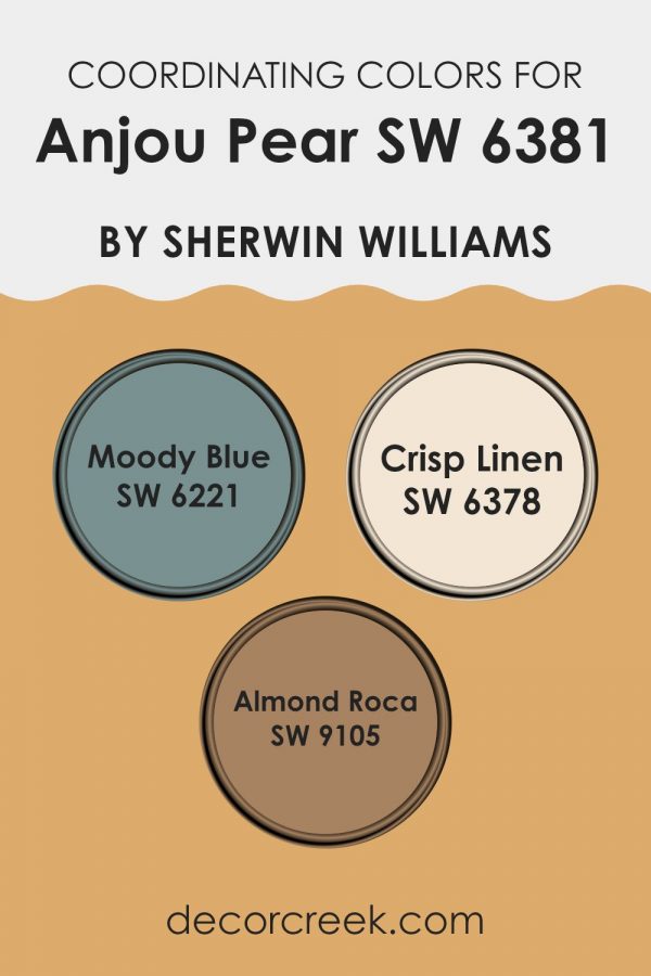 Anjou Pear SW 6381 Paint Color by Sherwin Williams - DecorCreek