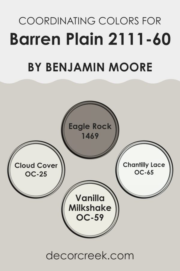 Barren Plain 2111-60 Paint Color by Benjamin Moore - DecorCreek