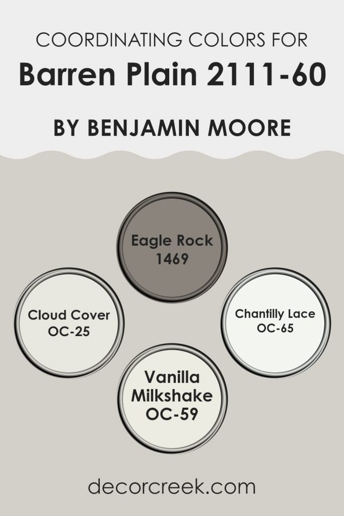 Barren Plain 2111-60 Paint Color by Benjamin Moore - DecorCreek