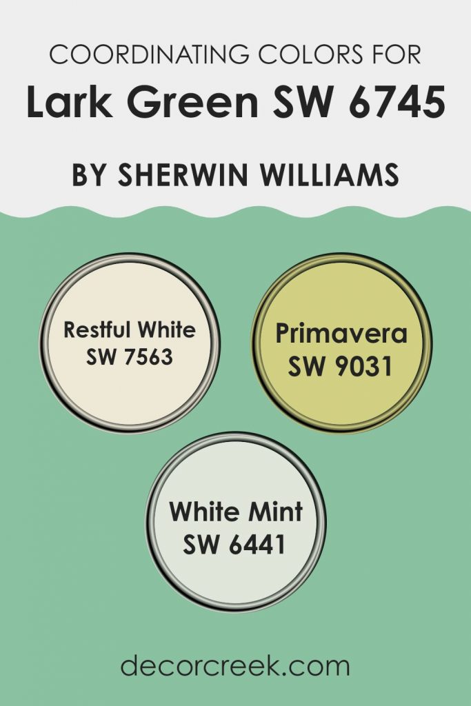 Lark Green SW 6745 Paint Color by Sherwin Williams - DecorCreek